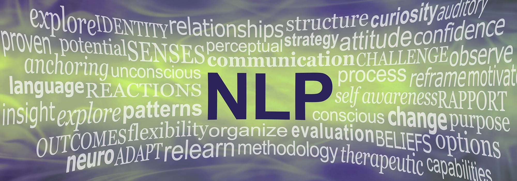 Accelerated Nlp Master Practitioner Training Master Results